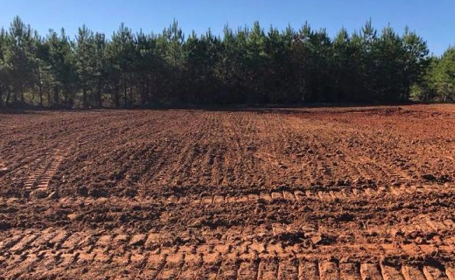 Wildlife Planting, Jones County | Tim's Underbrush Cleaning and Yard ...