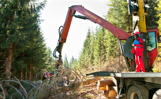 Forestry Equipment, Eatonton | Tim's Underbrush Cleaning and Yard Care LLC